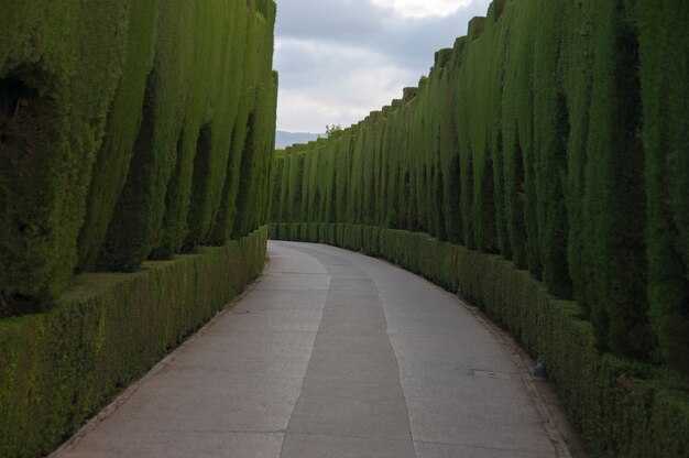 Lyon Traboules and Courtyards Guide to Hidden Passages